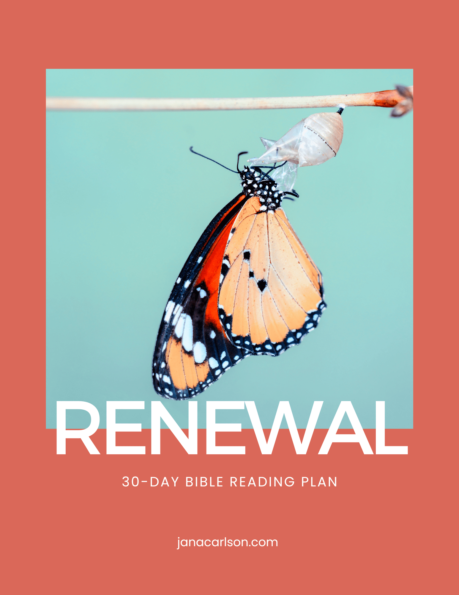 Bible Reading Plan Library | Jana Carlson