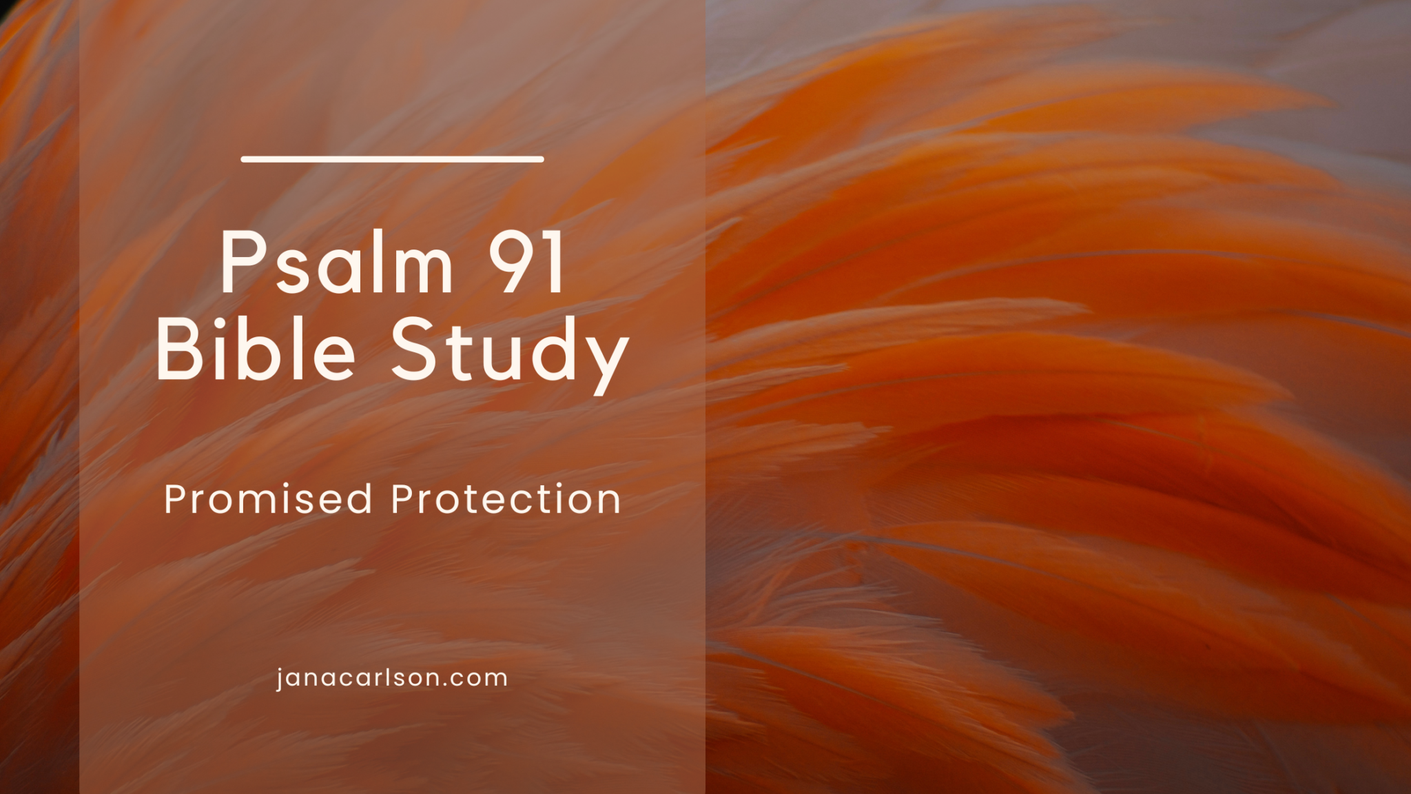 How to Use Cross-References in the Bible: Beginner Bible Study