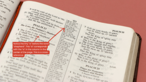 How to Use Cross-References in the Bible: Beginner Bible Study